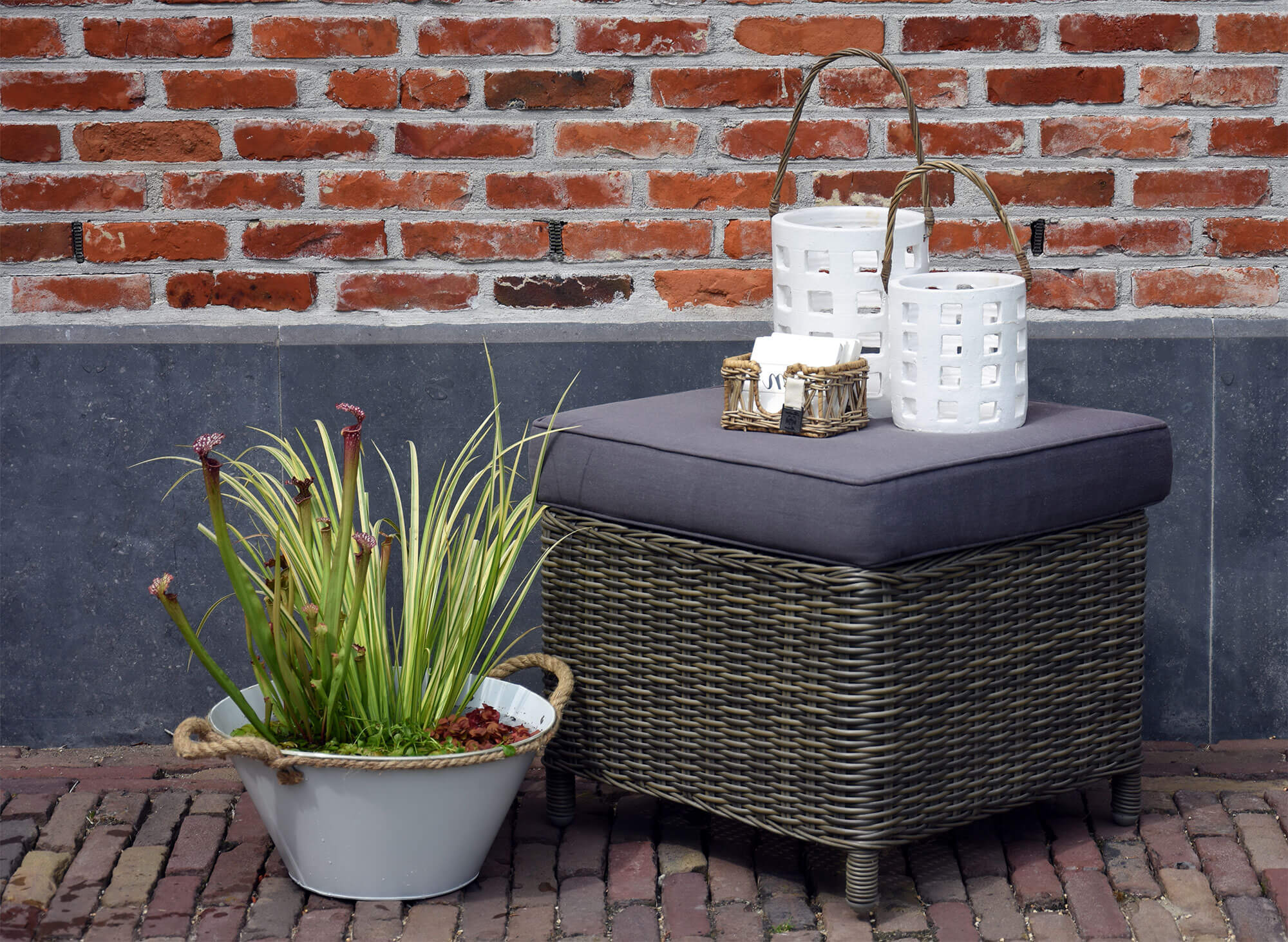 Mixed baskets - Waterplantenkwekerij Moerings